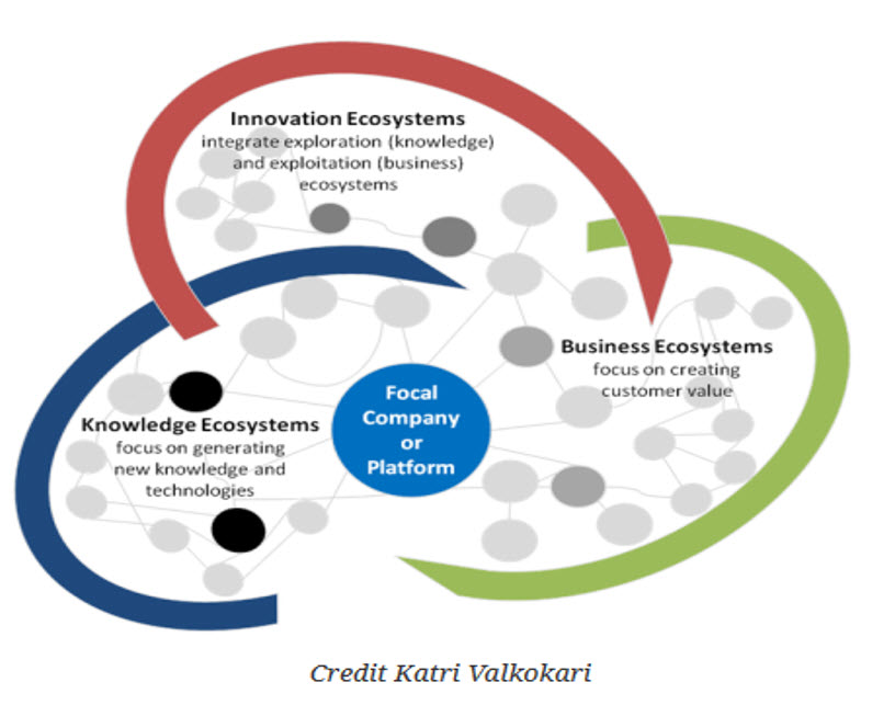 Designing a new business ecosystem for greater innovation | Your ...
