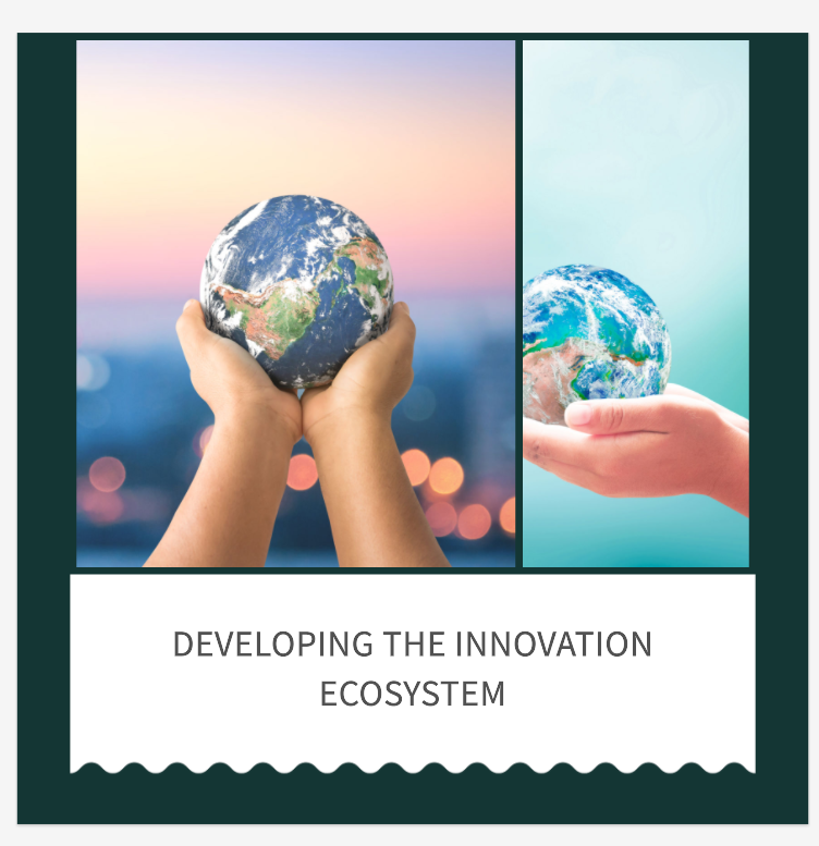 Unlocking the Power of Innovation Ecosystems: A Pathway to Sustained ...