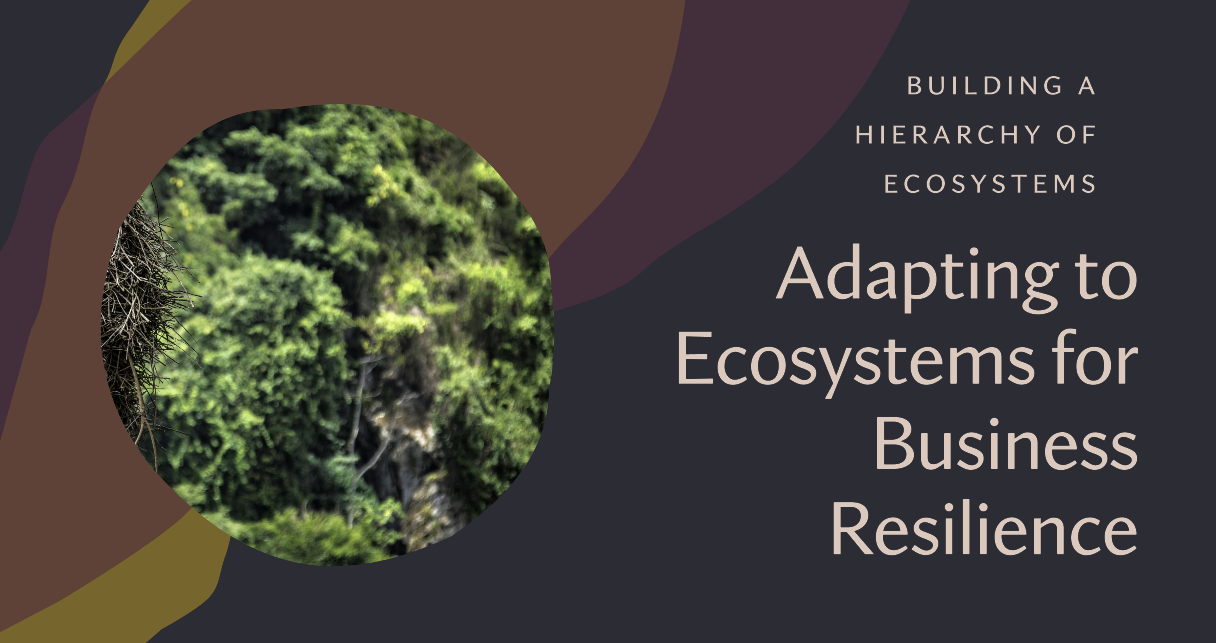 Charting your unique ecosystem pathway to collaborative success.