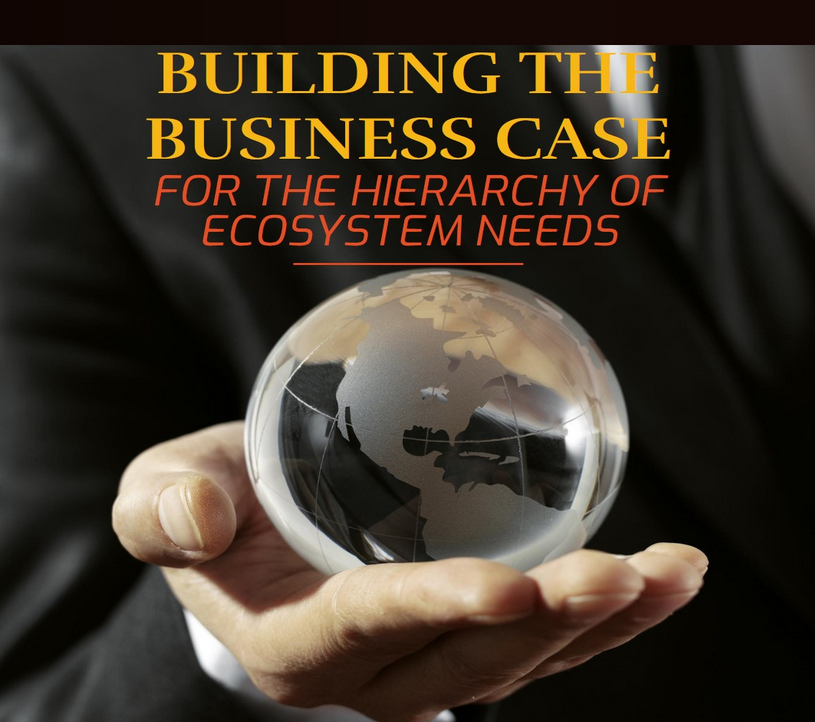The Case for the Hierarchy of Business Ecosystem Needs