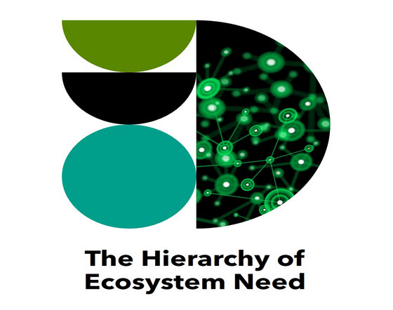 Why The Hierarchy Of