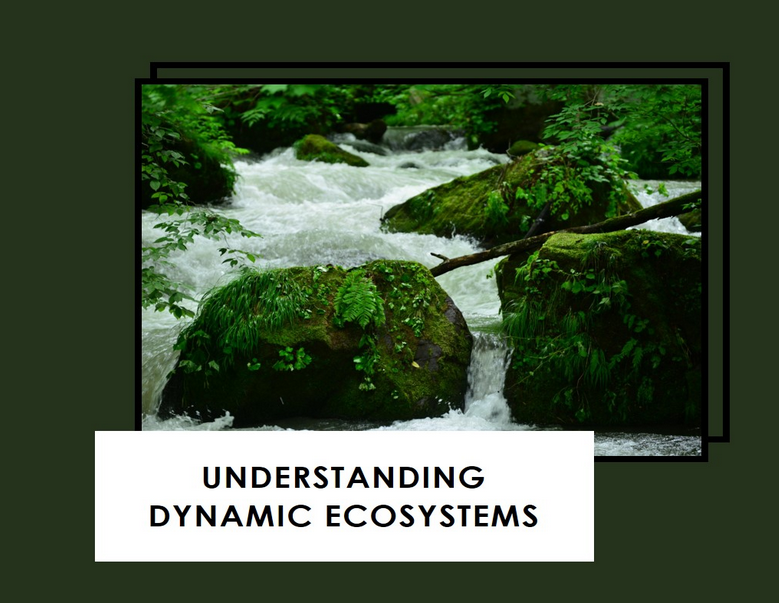 Why Dynamic Ecosystems are the heart of managing Business Ecosystems