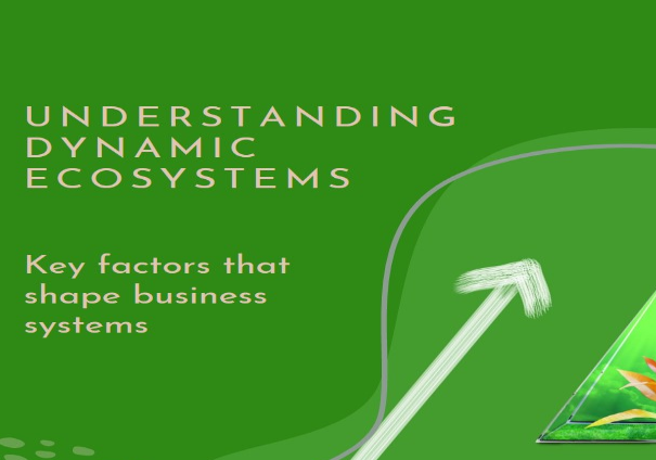 Thriving In The Dynamic Ecosystem Of The Hierarchy Of Business