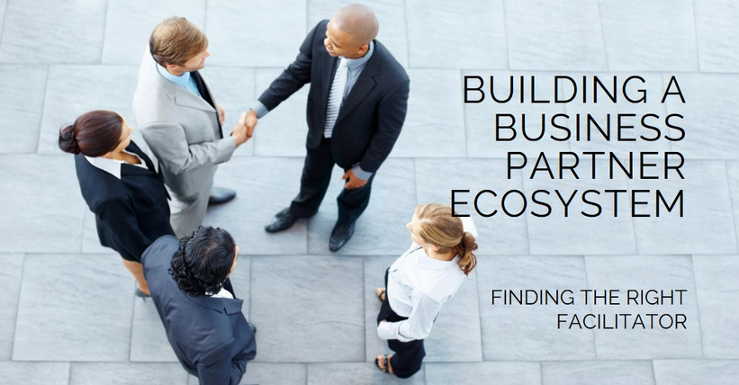 Who is best to facilitate the building out of a Business Partner ...
