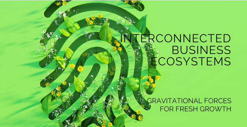 Getting Business Ecosystems onto the Radar of the C-Level of organizations.