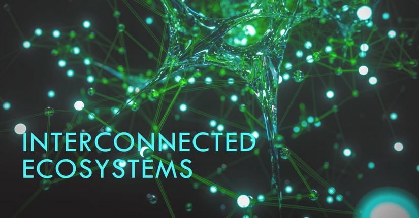 The Imperative of Ecosystems in a Modern World- we need to value ...