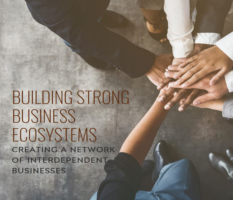 A Guide for Ecosystem Business Model Building for Mid-Sized Firms ...