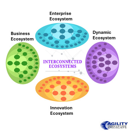 From Hierarchy to Interconnected Ecosystems Reflects Modern Business ...
