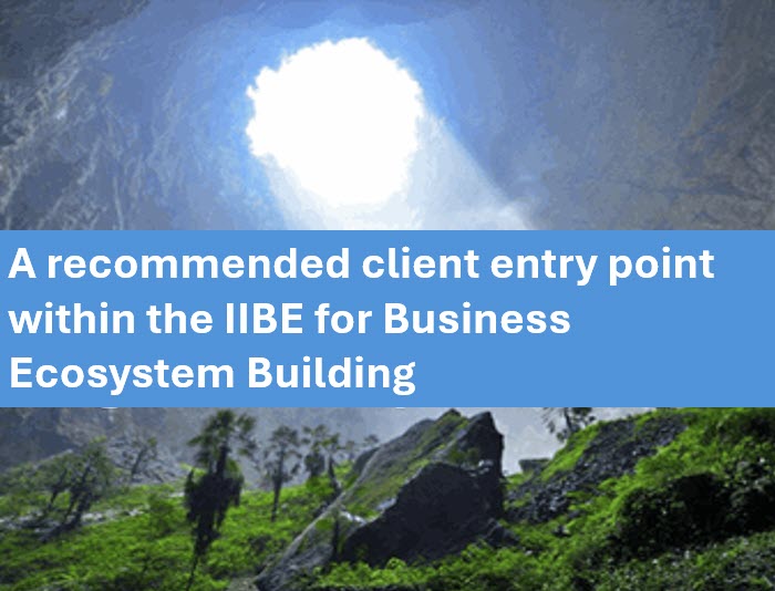 A recommended client entry point within the IIBE for Business Ecosystem ...